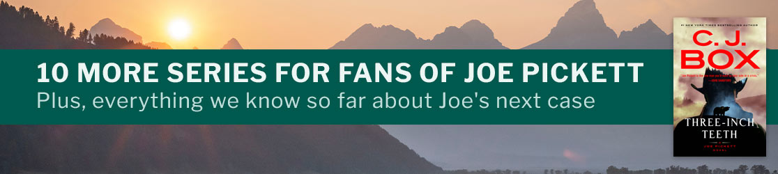 10 More Series for Fans of Joe Pickett | New & Used Books From ...