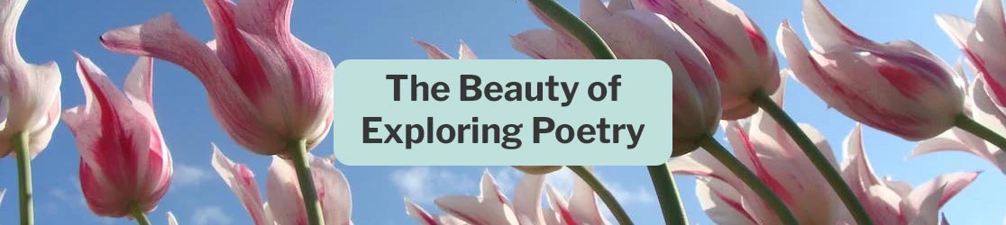 The Beauty of Exploring Poetry | New & Used Books From Thriftbooks.com